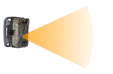 Die Funktion und Technik von Wildkameras erklärt