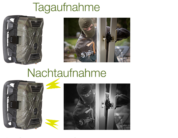 Die Funktion und Technik von Wildkameras erklärt